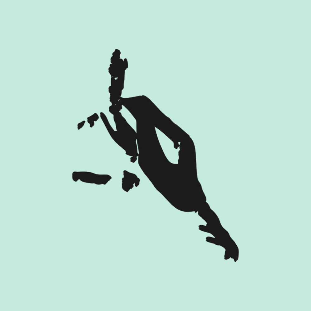 Dandy Designs - Hashtronics